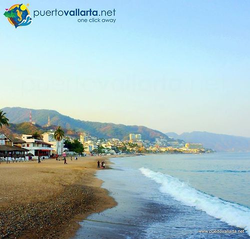 Playa Camarones, mÃ¡s: http://bit.ly/PlayasPV Camarones (Shrimp ...